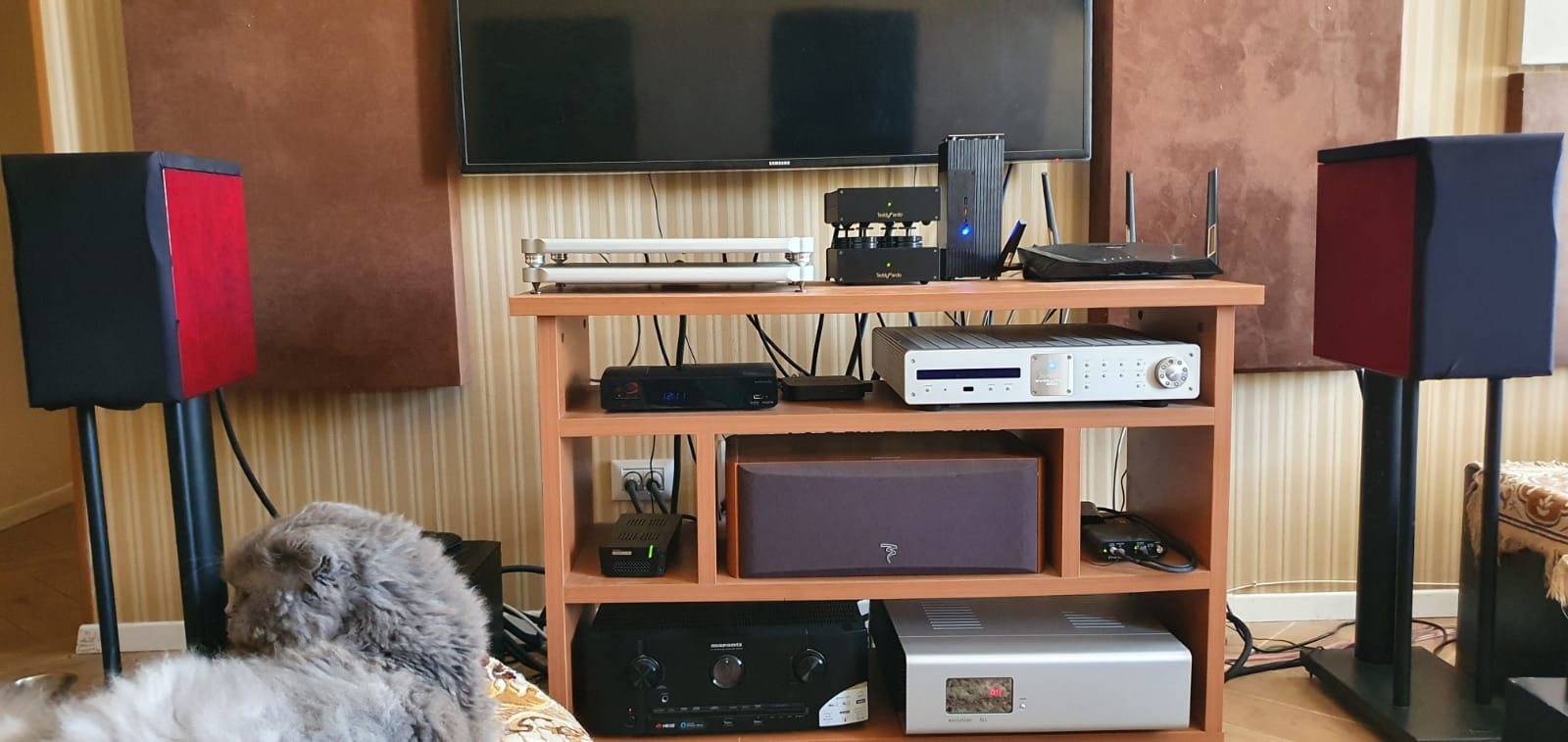 Soulution 311 - Усилители - SoundEX - Клуб любителей хорошего звука