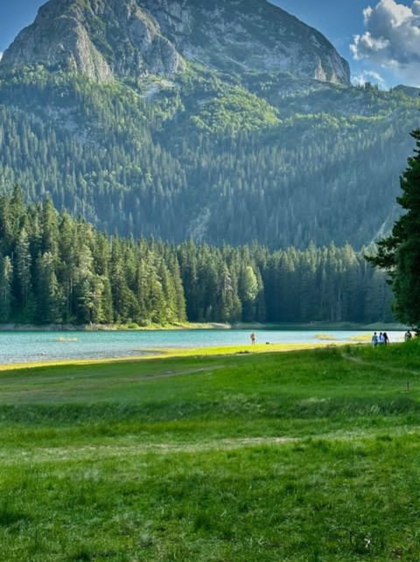 Моя последняя система - Страница 279 - Системы участников - SoundEX - Клуб любителей хорошего звука