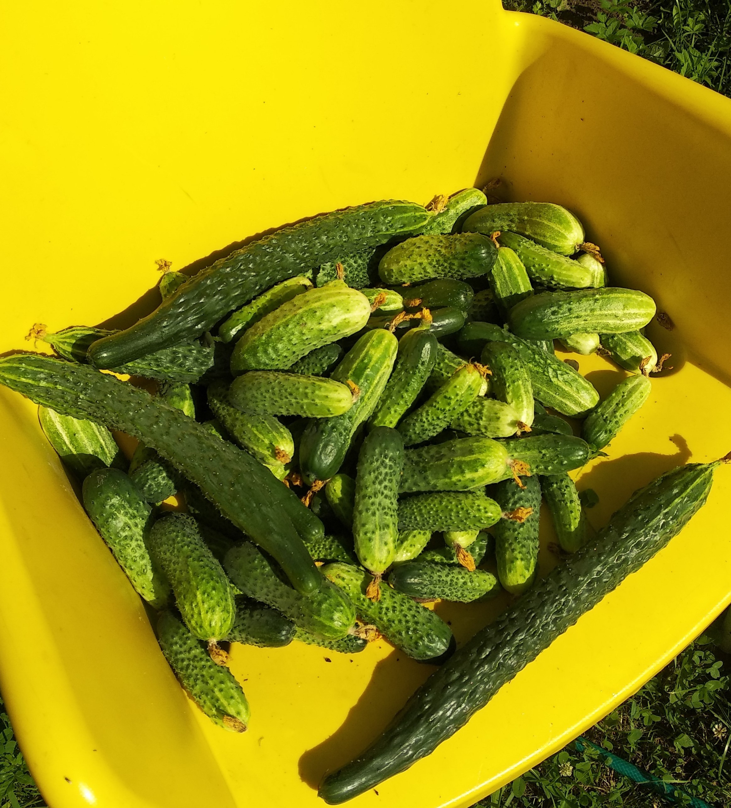 Без политики и мата - Страница 98 - Мужской клуб - SoundEX - Клуб любителей хорошего звука