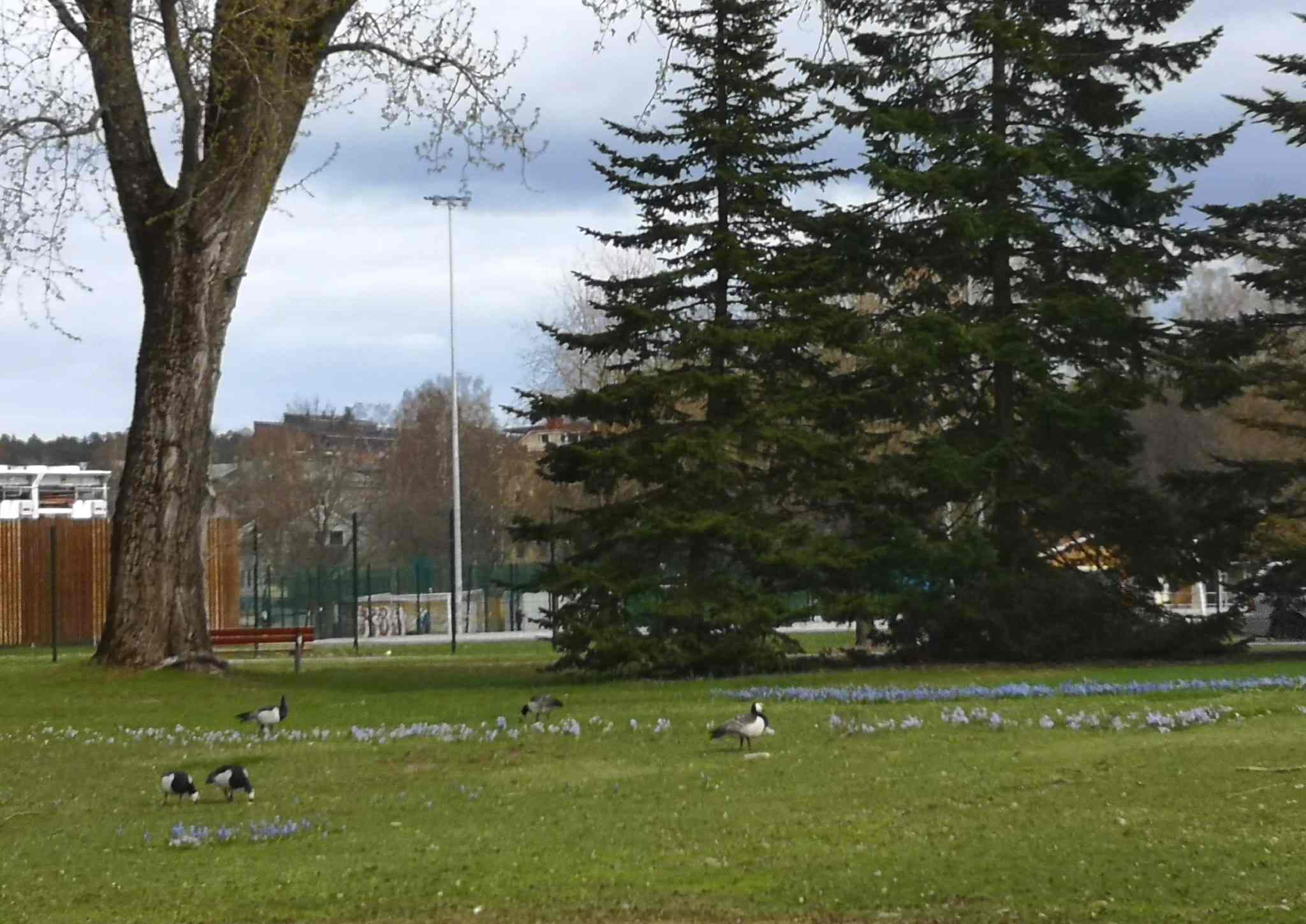 Кому за 60 - ЗОЖ. - Страница 188 - Семья и дом - SoundEX - Клуб любителей хорошего звука